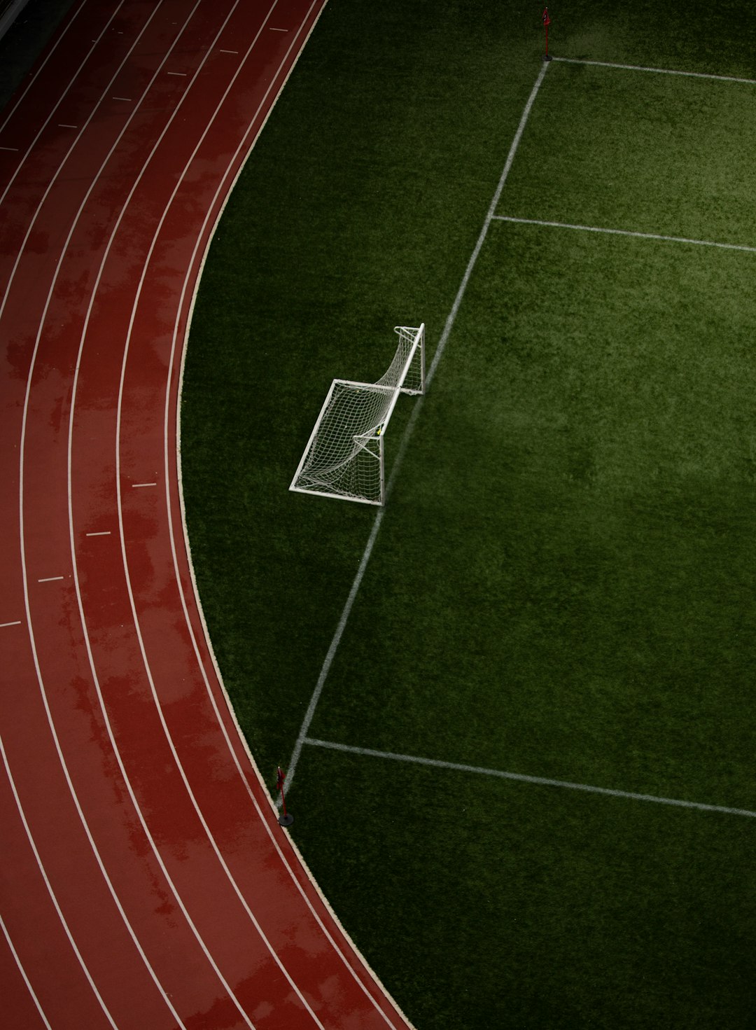 What is a Performance Goal in Sport: A Winning Strategy - Purefitjourneys